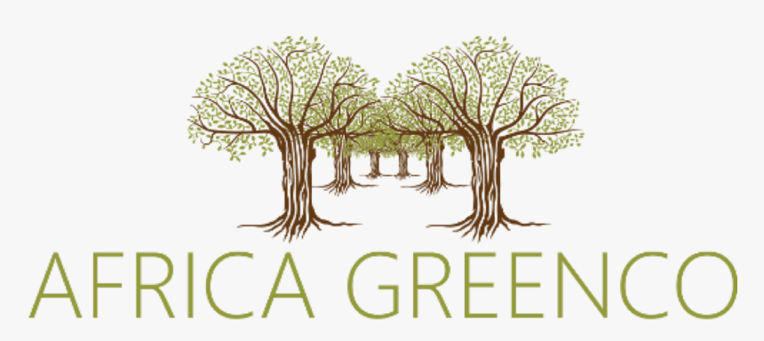 Transparent African Tree Png - Illustration, Png Download , Transparent ...