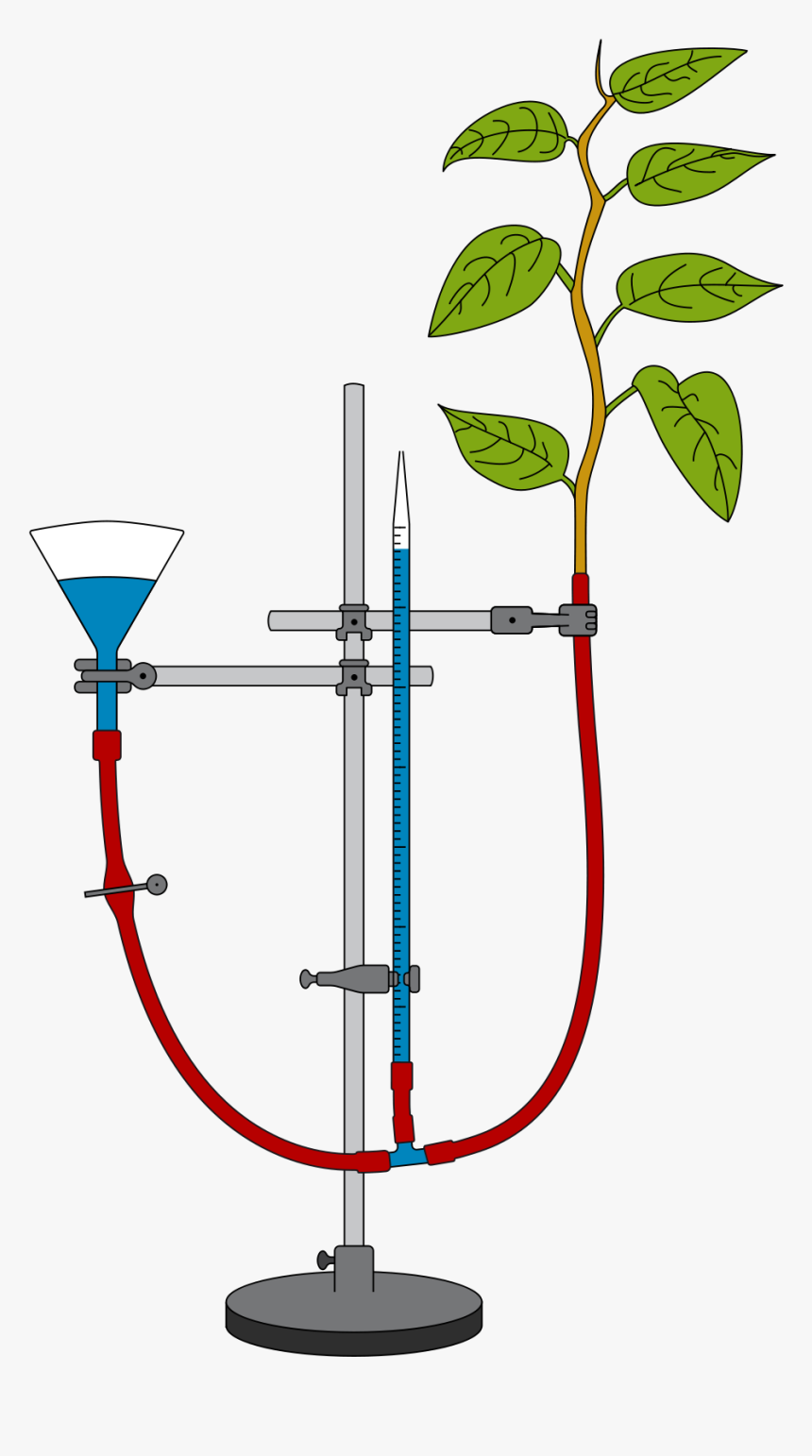 Measurement Of Transpiration With A Potometer - Transpiration Potometer ...