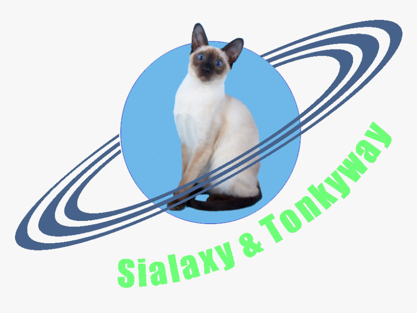 Transparent Siamese Cat Png - Planet With Rings Drawing, Png Download ...