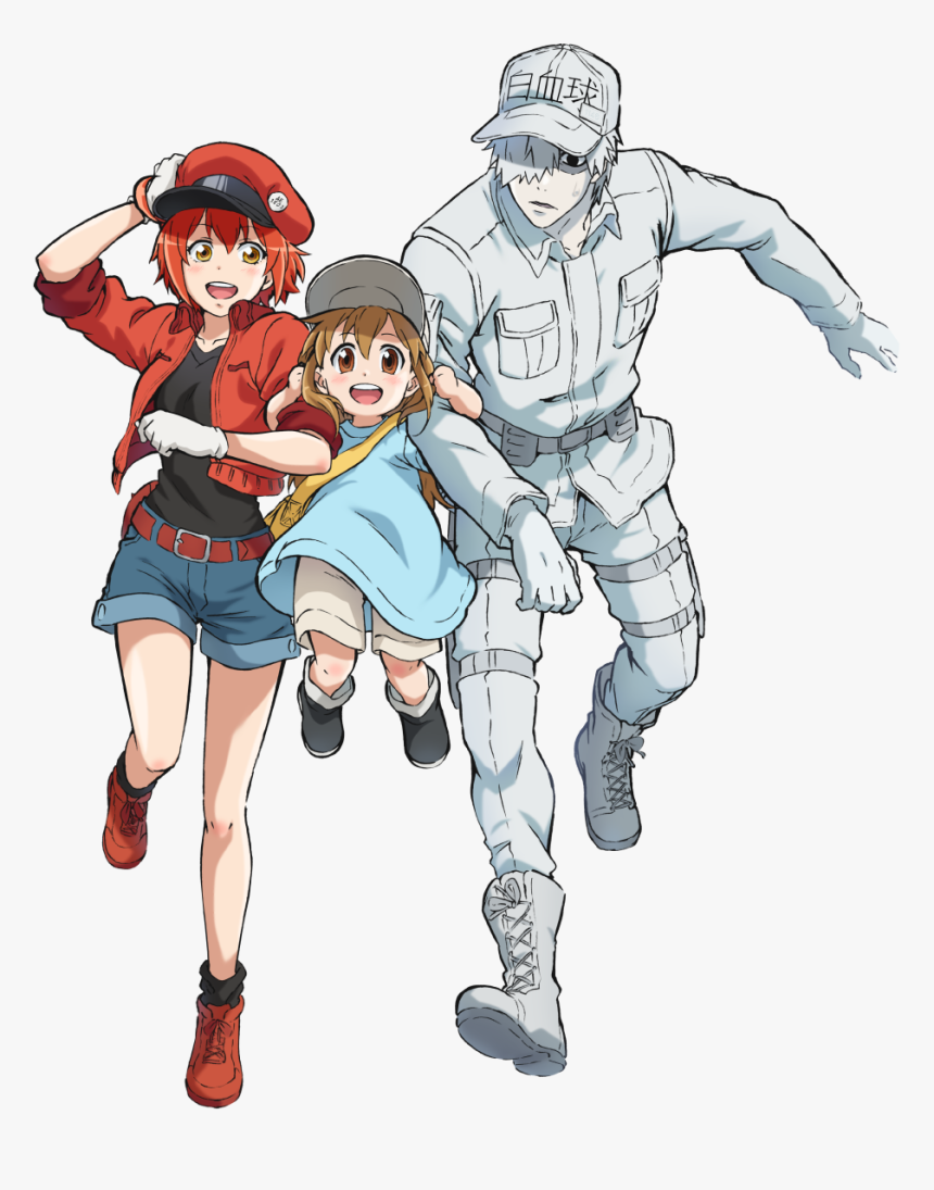 Japan Red Cross Anime, HD Png Download , Transparent Png Image - PNGitem