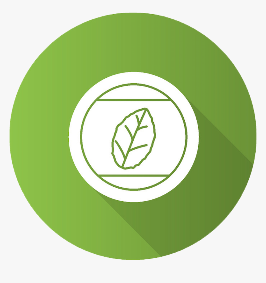 Transparent Bucket Icon Png, Png Download , Transparent Png Image - PNGitem