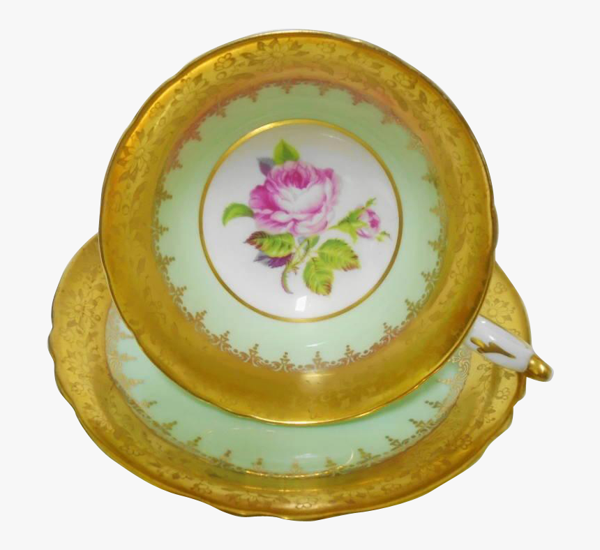 Paragon Fancy Gold Etch Border Pink Rose Center Tea - Rosa Dumalis, HD ...