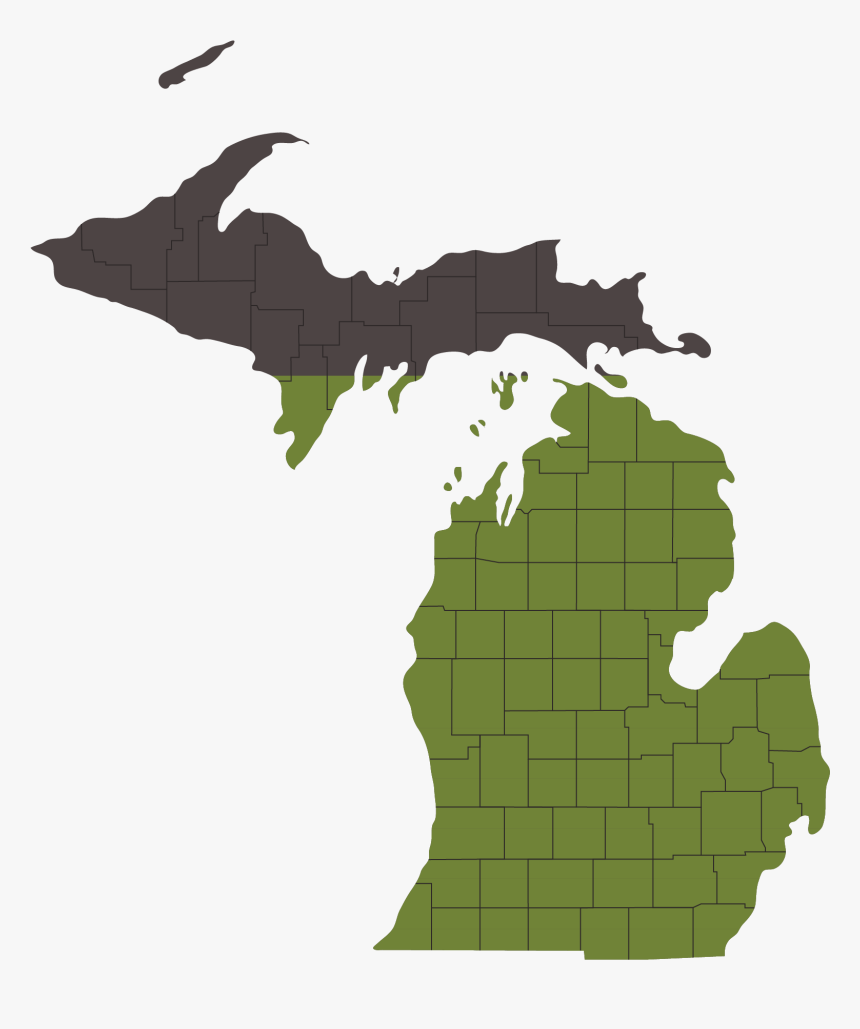 Michigan Flag Map, HD Png Download , Transparent Png Image - PNGitem