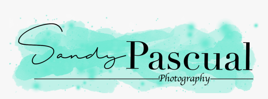 Transparent Mix Png - Sandy Photography Logo Png, Png Download ...