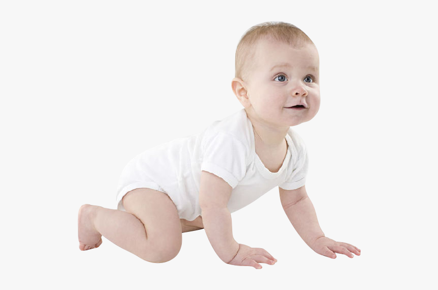 Infant Child Crawling - Baby Crawling Transparent Background, HD Png ...