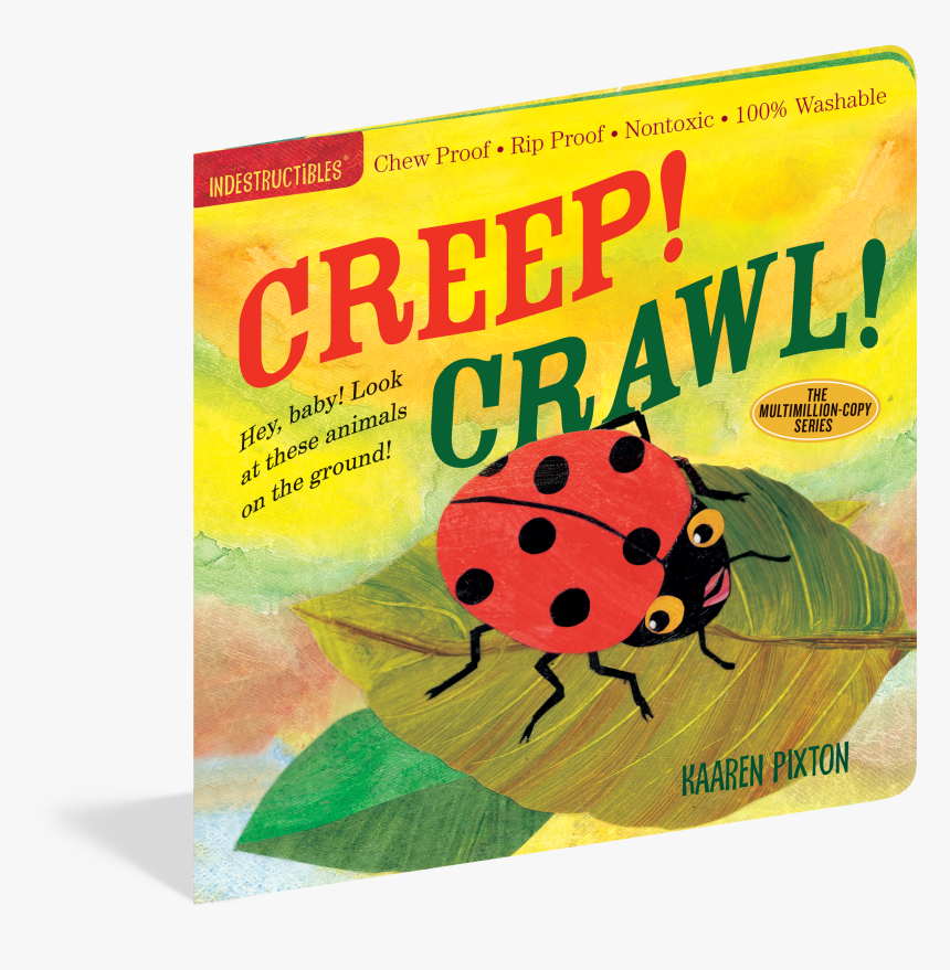 Cover - Ladybug, HD Png Download , Transparent Png Image - PNGitem