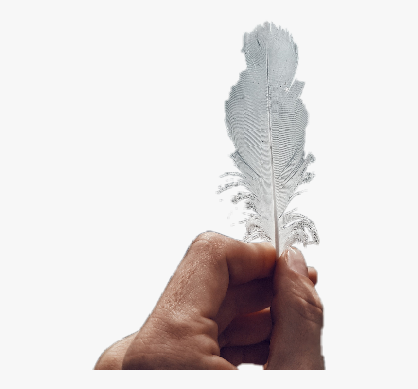 Feather Duster Png - Paper, Transparent Png , Transparent Png Image ...