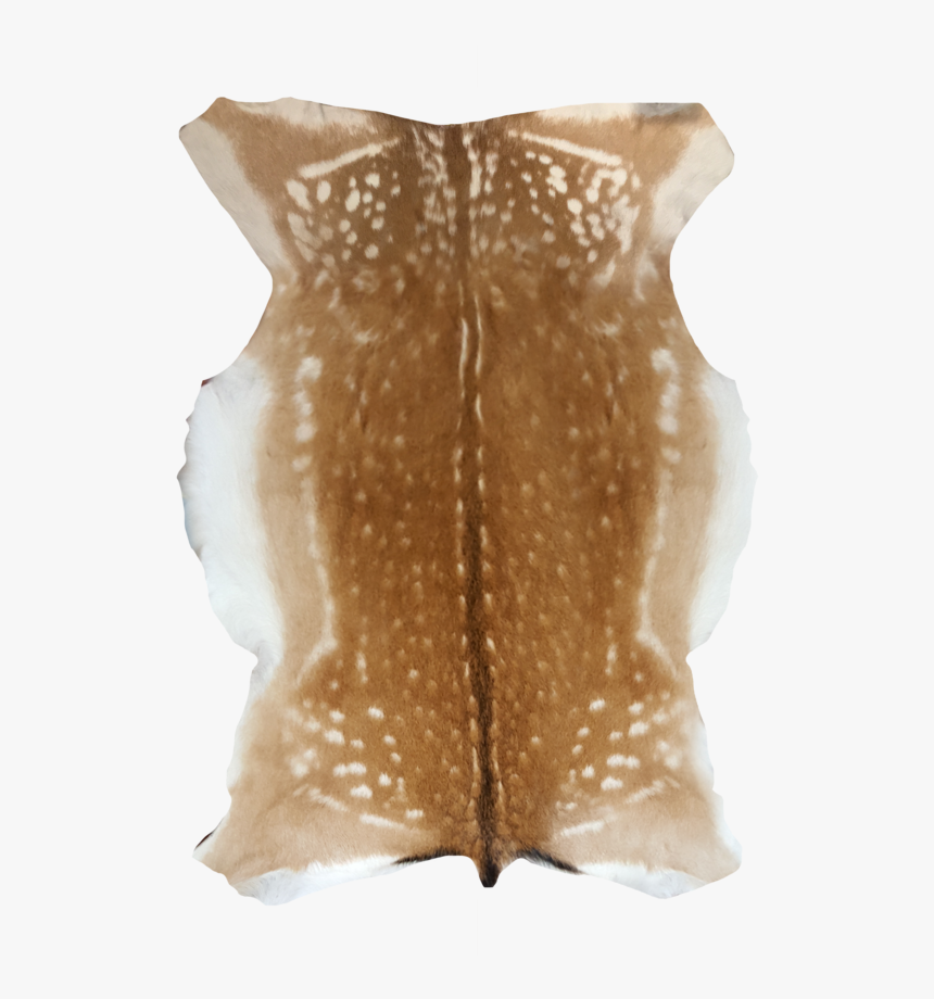 Deer Hide 02 - Leather, HD Png Download , Transparent Png Image - PNGitem