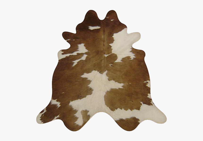 Marine Invertebrates, HD Png Download , Transparent Png Image - PNGitem