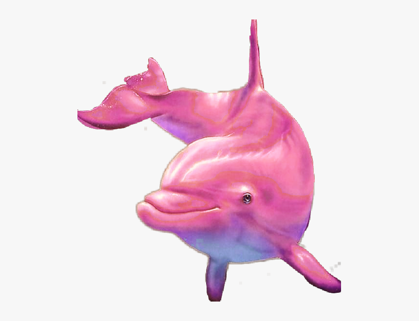 Pink Baby Bottlenose Dolphins