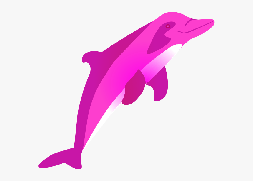 Pink Dolphin Clipart - River Dolphin Transparent Background, HD Png ...