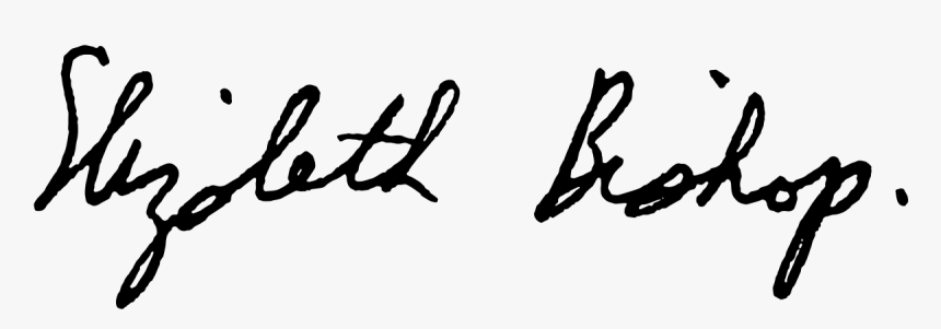 Elizabeth Bishop Signature, HD Png Download , Transparent Png Image ...