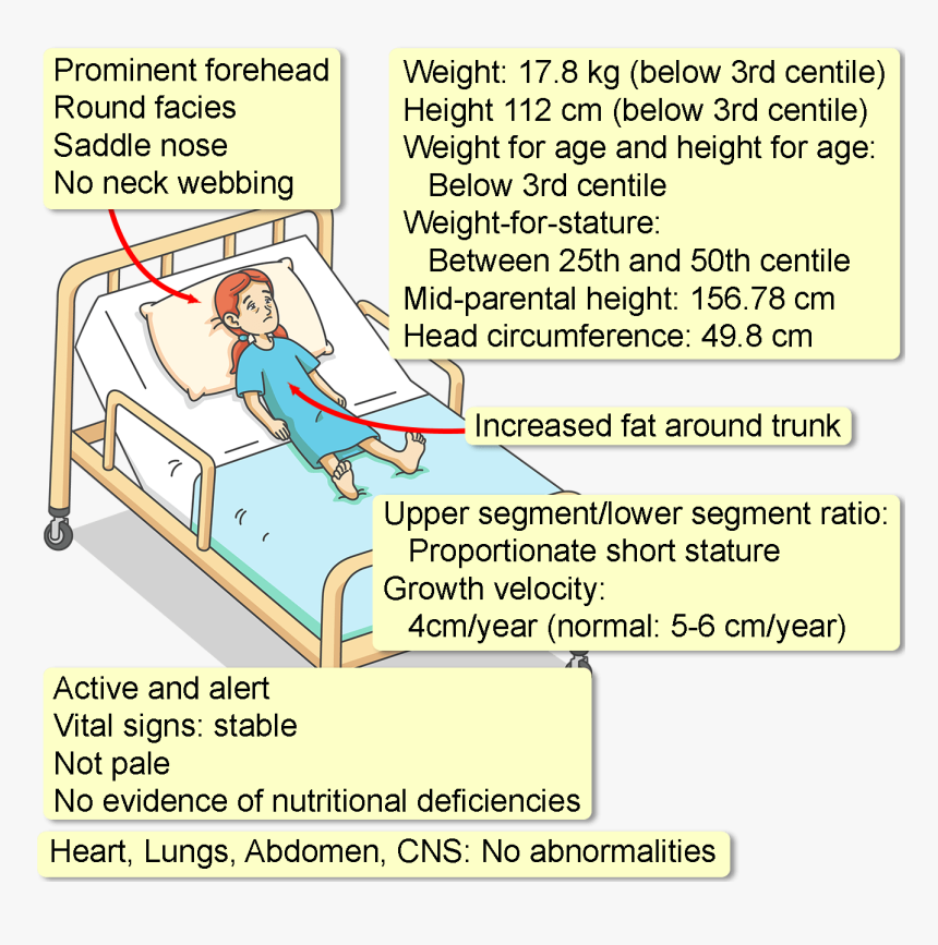 Dual Rhythm No Murmur, HD Png Download , Transparent Png Image - PNGitem