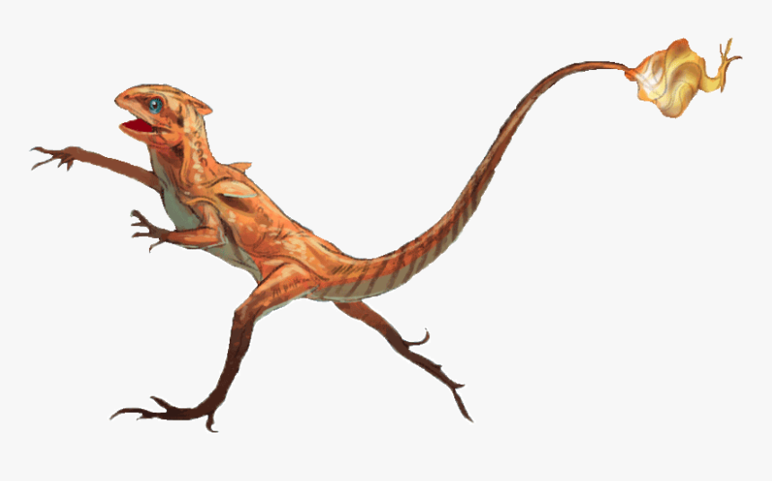 Transparent Charmander - Charmander Realistic, HD Png Download ...