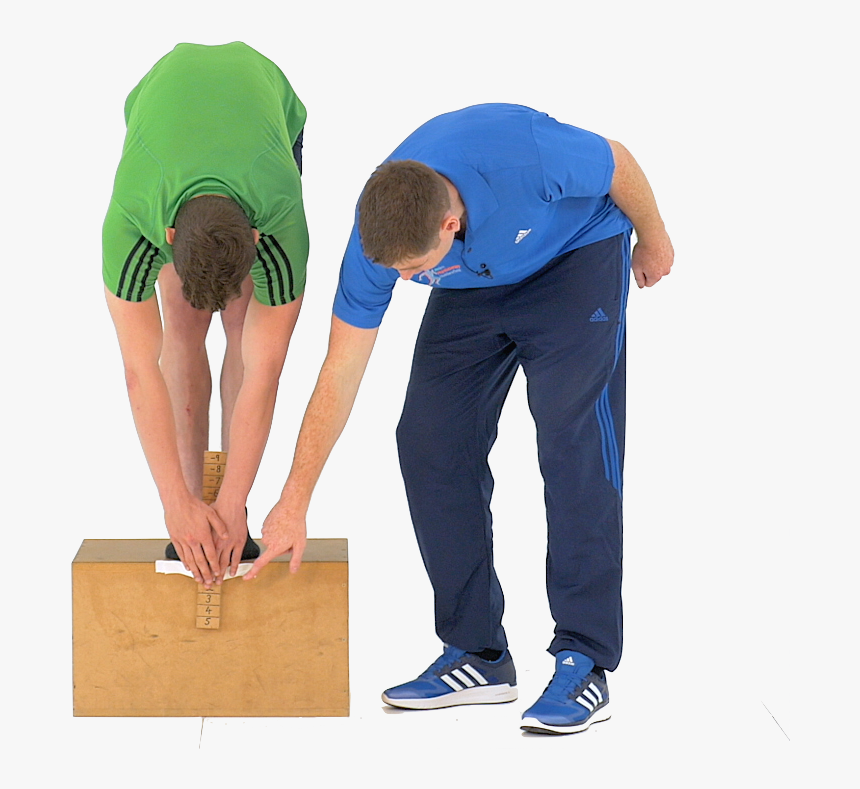 Standing Toe Touch Test, HD Png Download , Transparent Png Image - PNGitem
