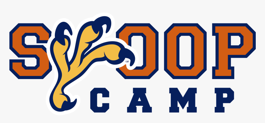 Swoop Camp Logo - University Of Texas At Tyler, HD Png Download ...