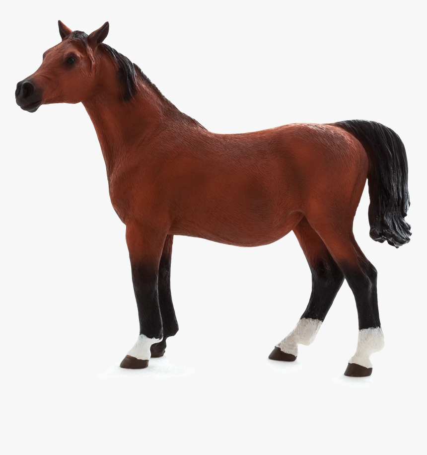 Animal,fawn - Mare, HD Png Download , Transparent Png Image - PNGitem