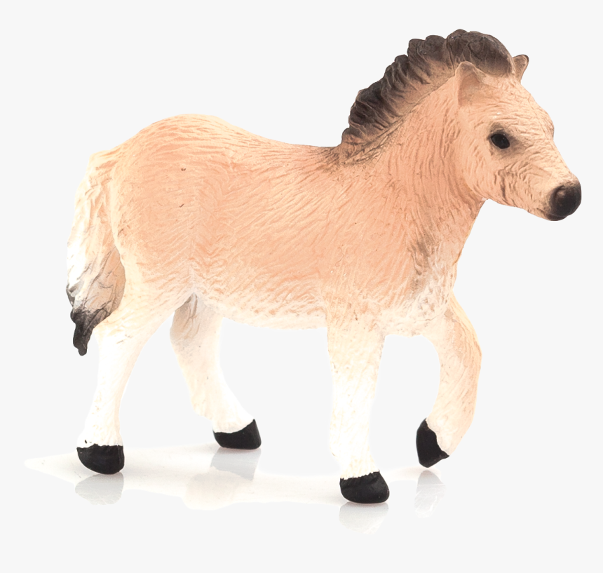 Transparent Foal Png - Pony, Png Download , Transparent Png Image - PNGitem