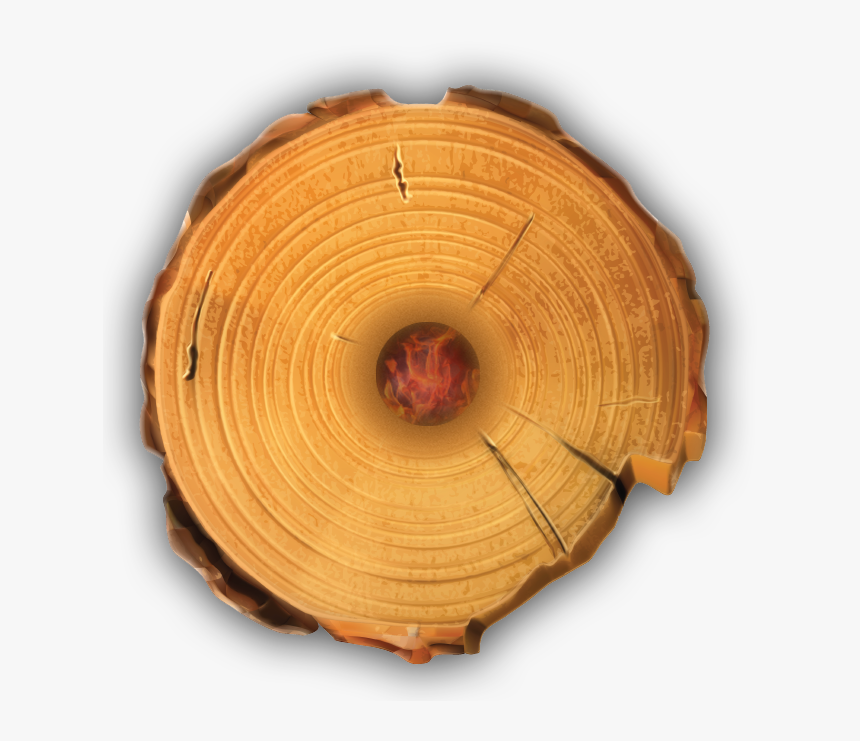Timber Tote Log Top View - Log Top View Png, Transparent Png ...