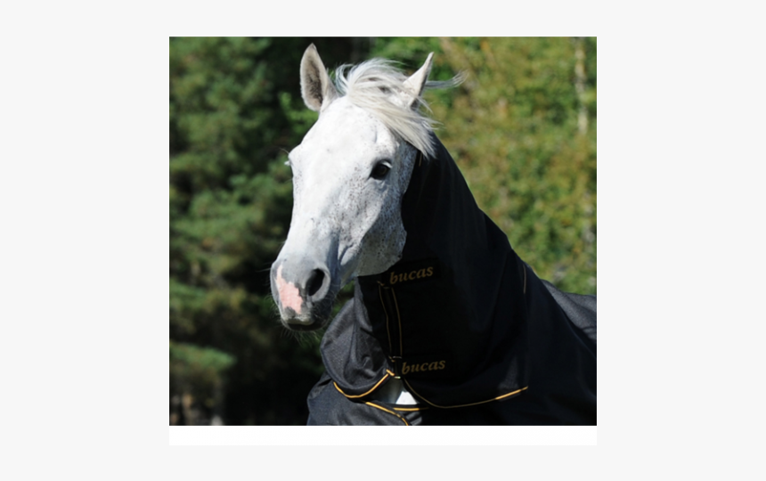 Irish Turnough Combi Neck 300g - Bucas, HD Png Download , Transparent ...