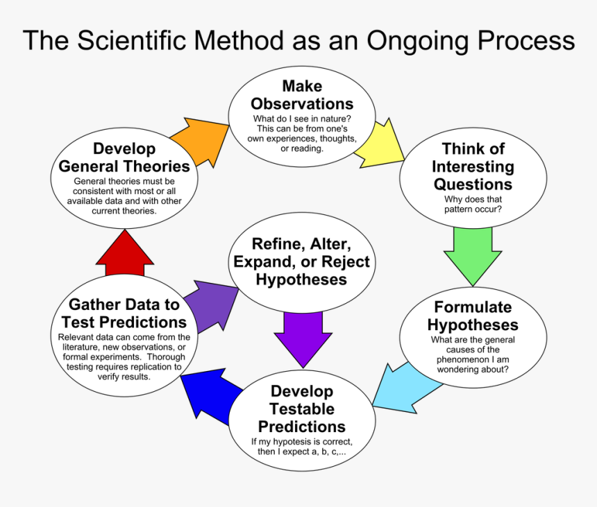 Picture - Scientific Method, HD Png Download , Transparent Png Image ...