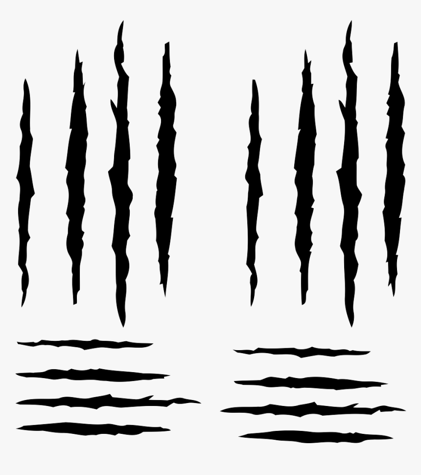 Bear Scratch, HD Png Download , Transparent Png Image - PNGitem