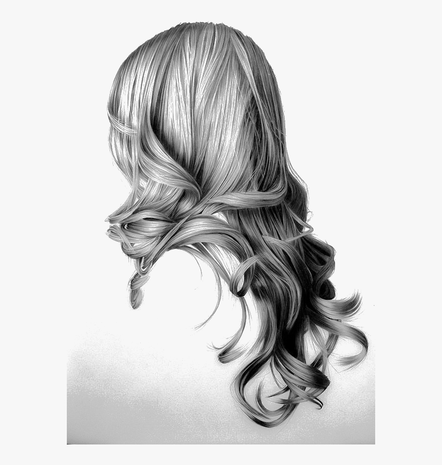 Hair From The Back Drawing