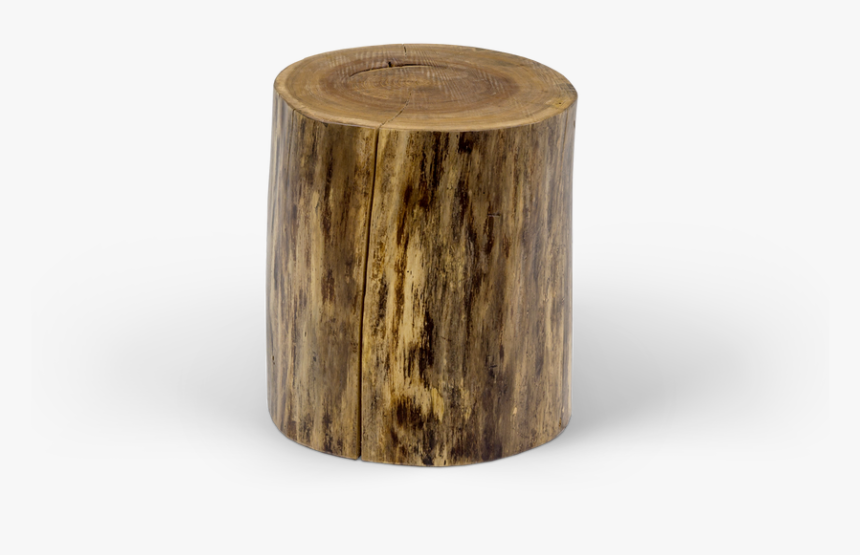 Tree Stump, HD Png Download , Transparent Png Image - PNGitem