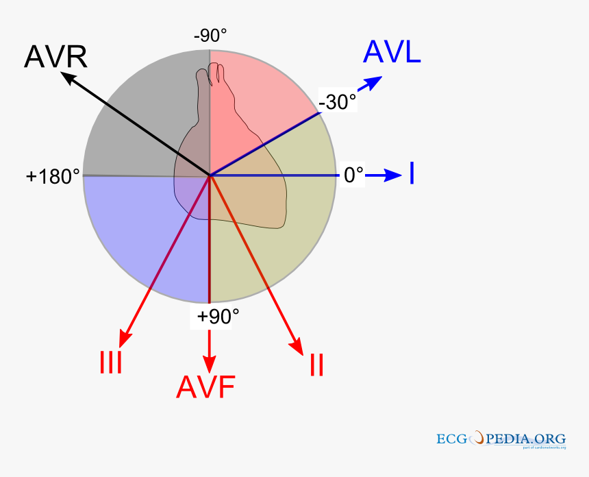 Ecg Axis, HD Png Download , Transparent Png Image - PNGitem