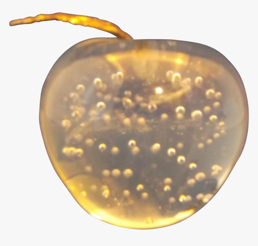 Macro Photography, HD Png Download , Transparent Png Image - PNGitem