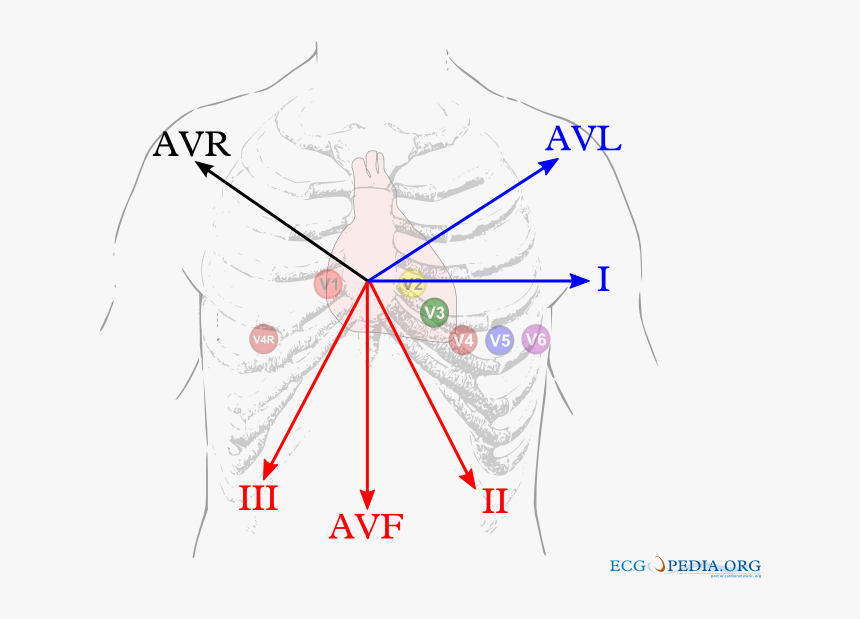 Ekg D1 D2 D3, HD Png Download , Transparent Png Image - PNGitem