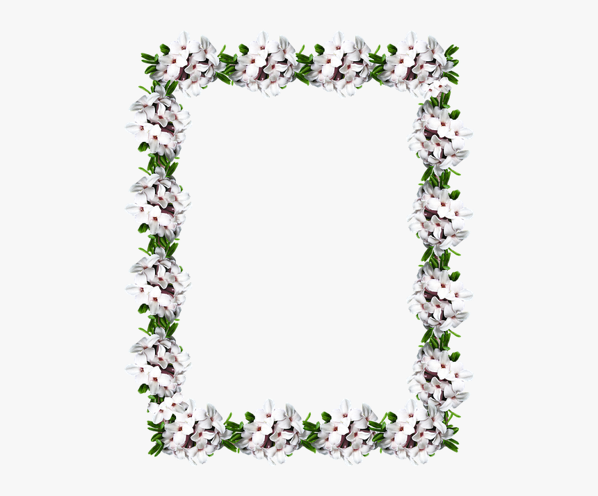 Frame, Border, Daphne, Floral - Frame Design Daphne, HD Png Download ...