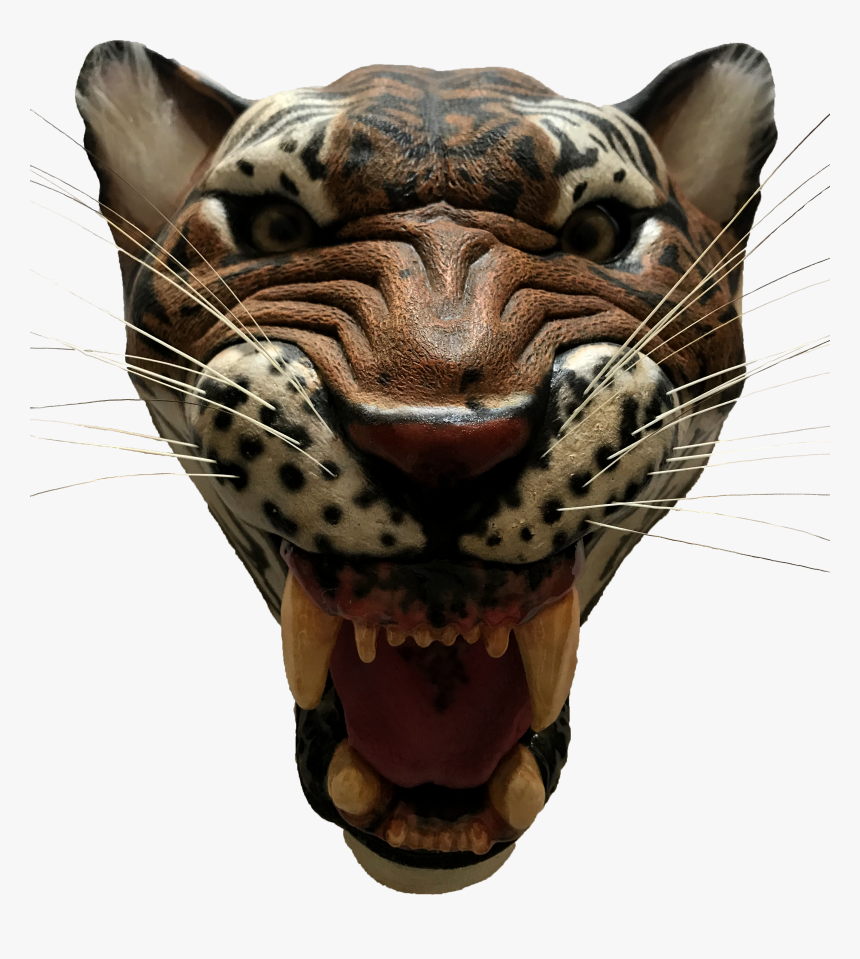 Transparent Saber Tooth Tiger Png - Tiger, Png Download , Transparent ...
