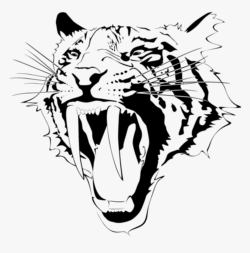 Transparent Saber Tooth Tiger Png - Saber Tooth Tiger Drawing, Png ...