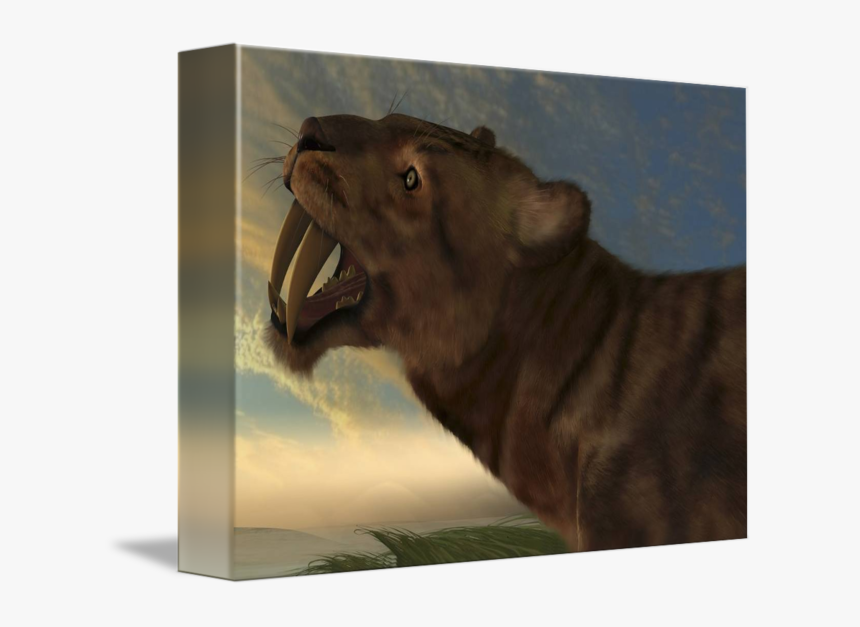 Transparent Sabertooth Tiger Clipart - Fang, HD Png Download ...