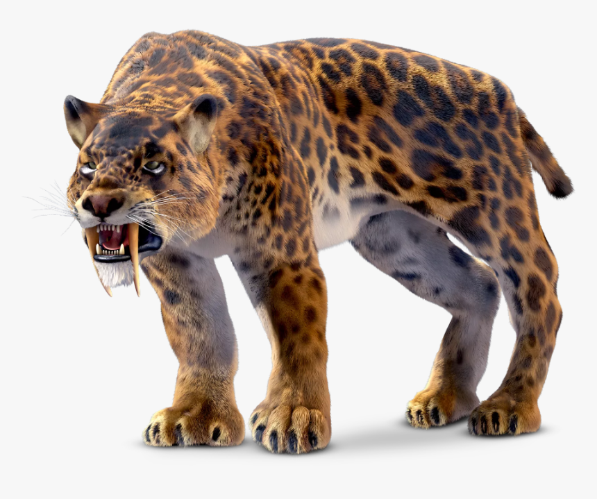 Saber Tooth Tiger, HD Png Download , Transparent Png Image - PNGitem
