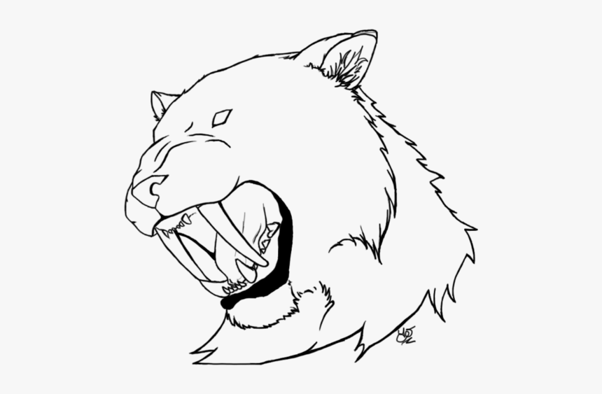 Saber Tooth Tiger Drawing Step By Step