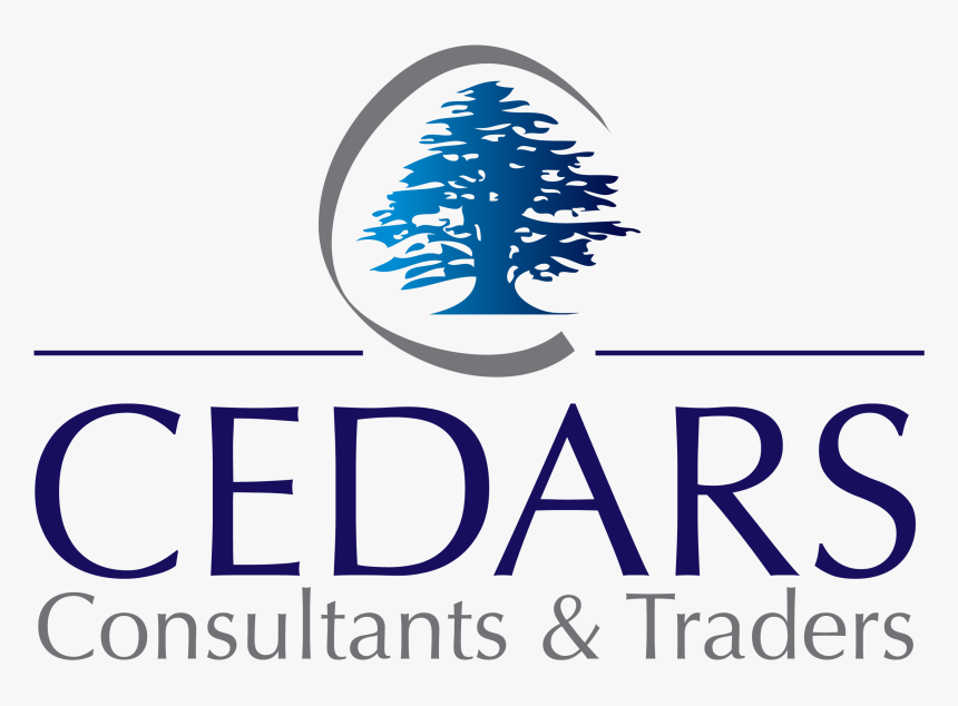 Cedars Of Lebanon Logo , Transparent Cartoons - Colorado Spruce, HD Png ...