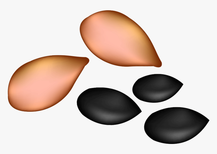Transparent Seeds Png - Lemon Seeds Clip Art, Png Download ...