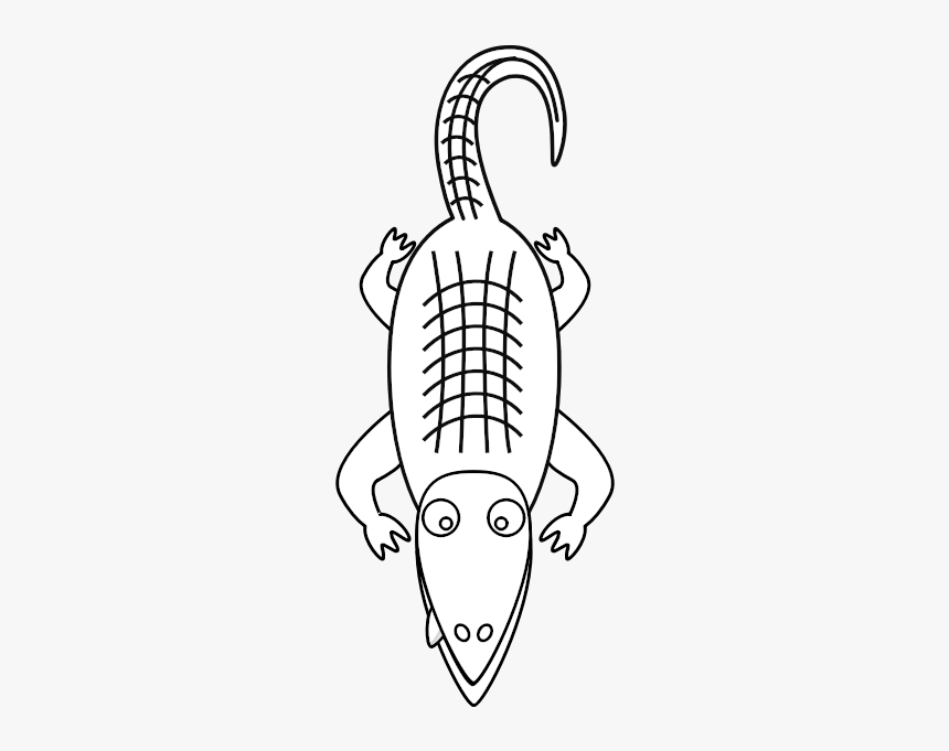 Alligator Line Art - Clipart Alligators Black And White, HD Png ...