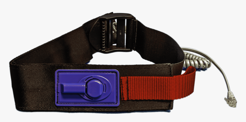 Belt, HD Png Download , Transparent Png Image - PNGitem