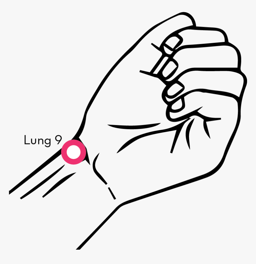 Acupressure Points Chart Heart Clipart , Png Download - Lung 9 Acupoint ...
