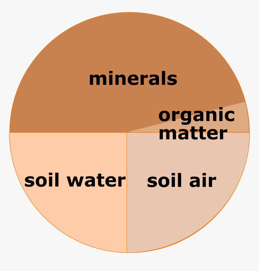 Minerals 46%, Soil Air 25%, Soil Water 25%, Organic - Soil Composition ...