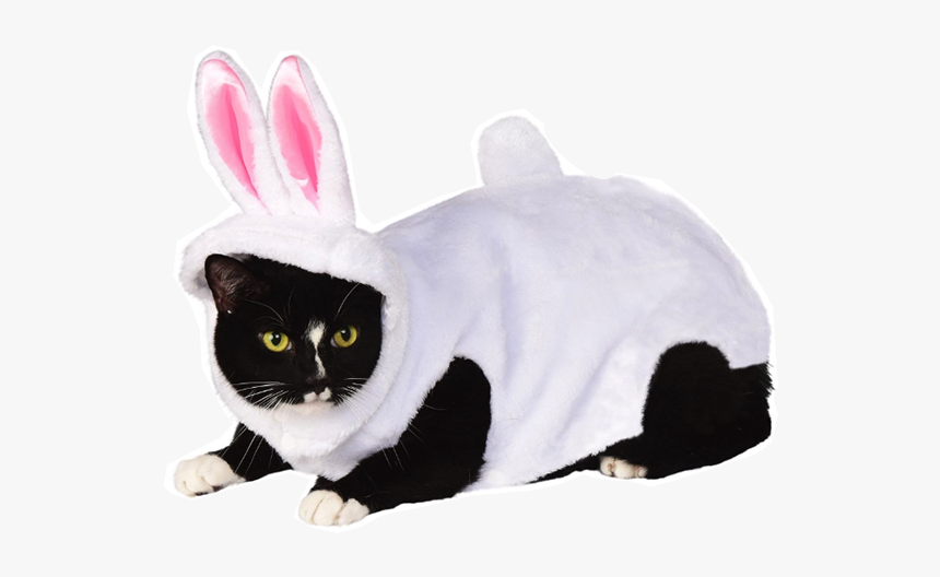 Cat In Bunny Costume - Transparent Png Costume Cat Png, Png Download ...
