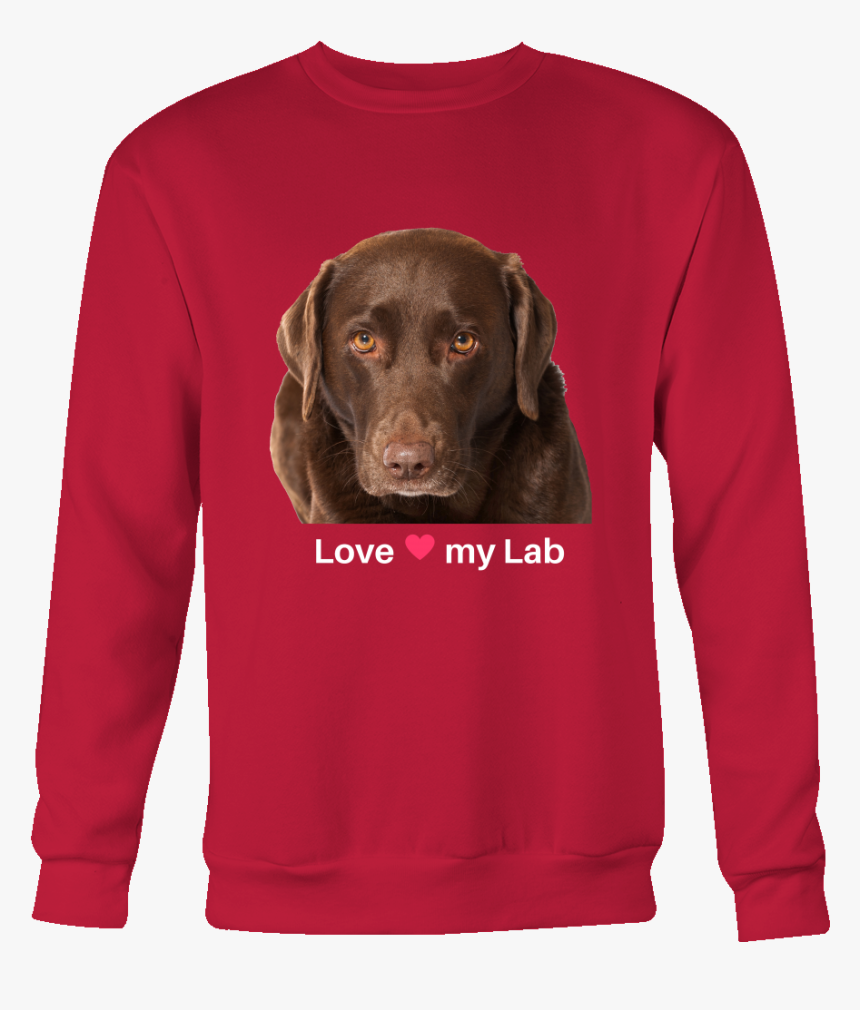 Transparent Chocolate Lab Png - Labrador Retriever, Png Download ...