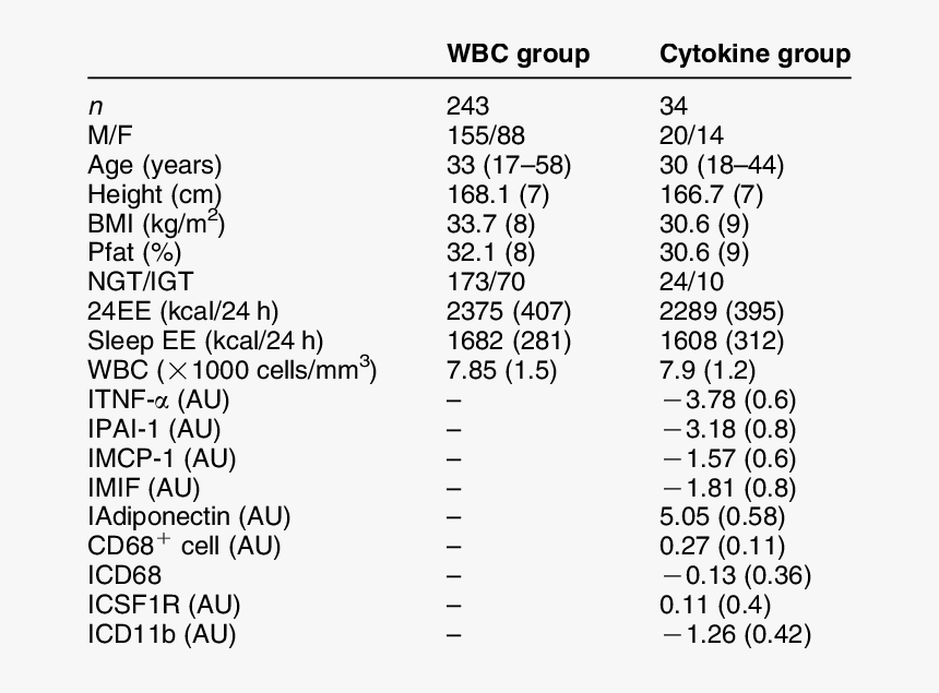 Characteristics Of Wbc, HD Png Download , Transparent Png Image - PNGitem