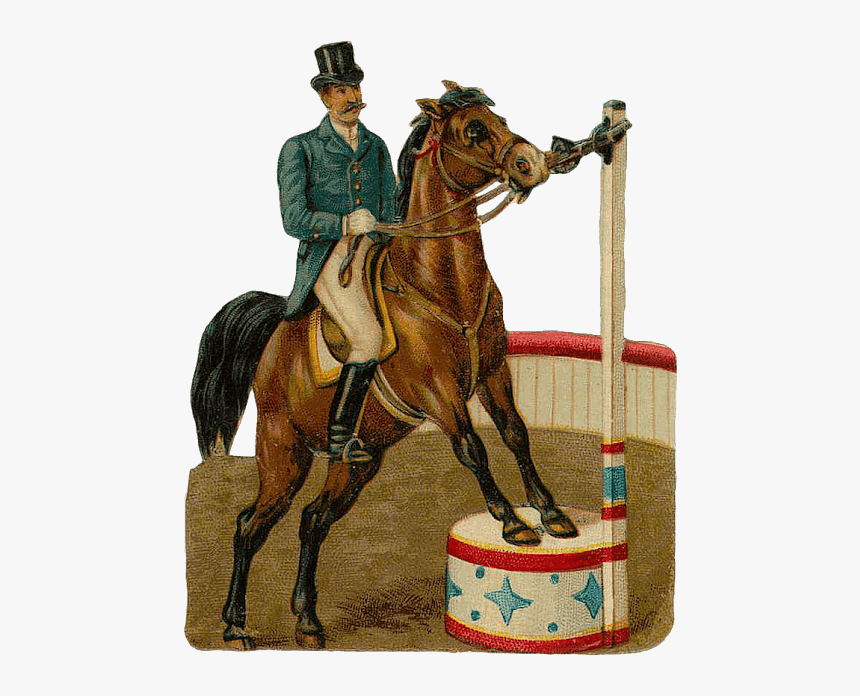 Circus Horse Rider Transparent, HD Png Download , Transparent Png Image ...
