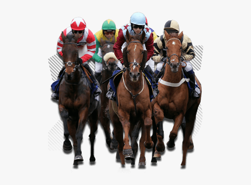 Horse Racing Transparent Background, HD Png Download , Transparent Png ...