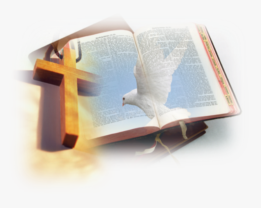 Bible And Cross And Dove, HD Png Download , Transparent Png Image - PNGitem
