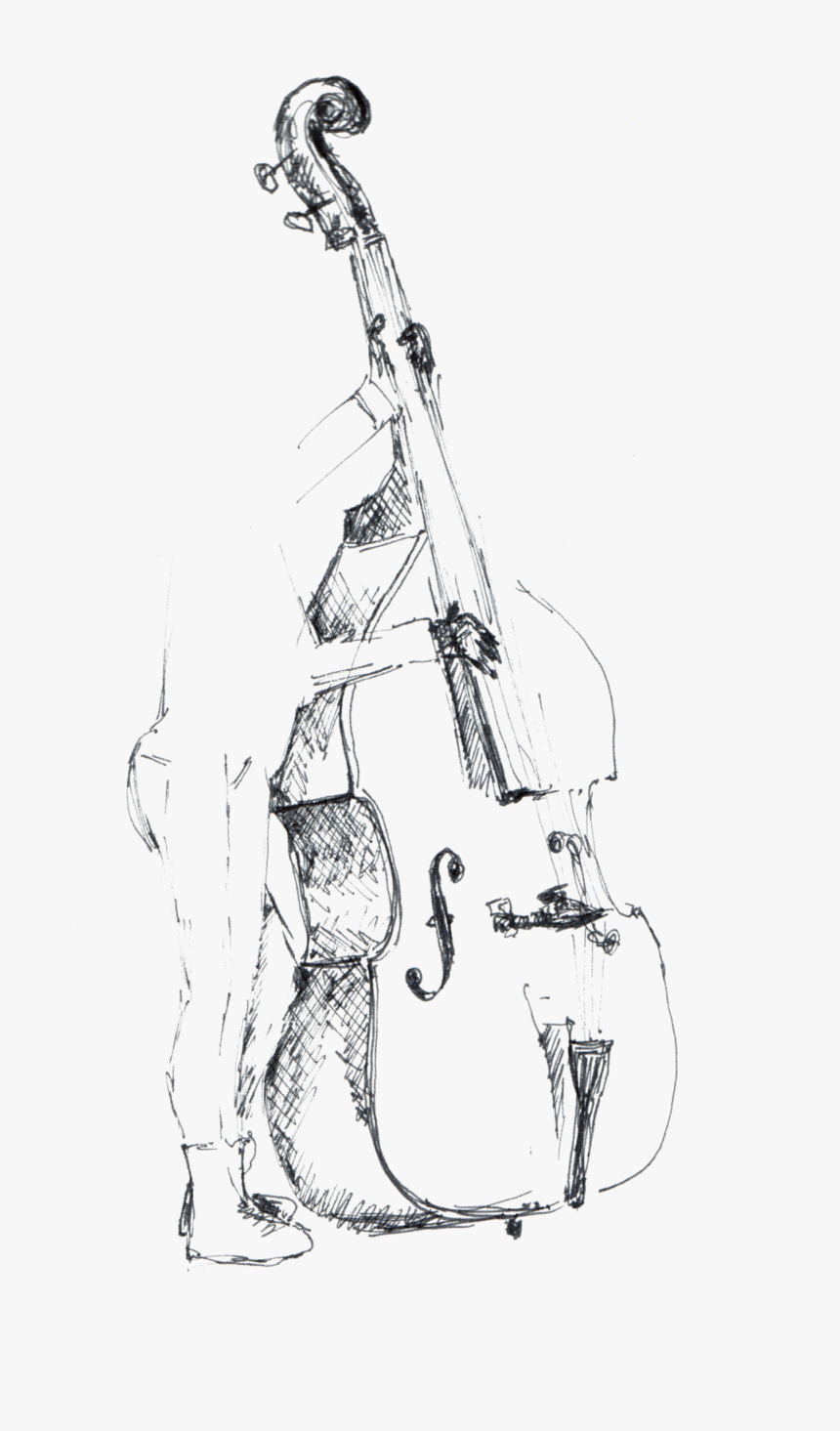 Upright Bass Drawing